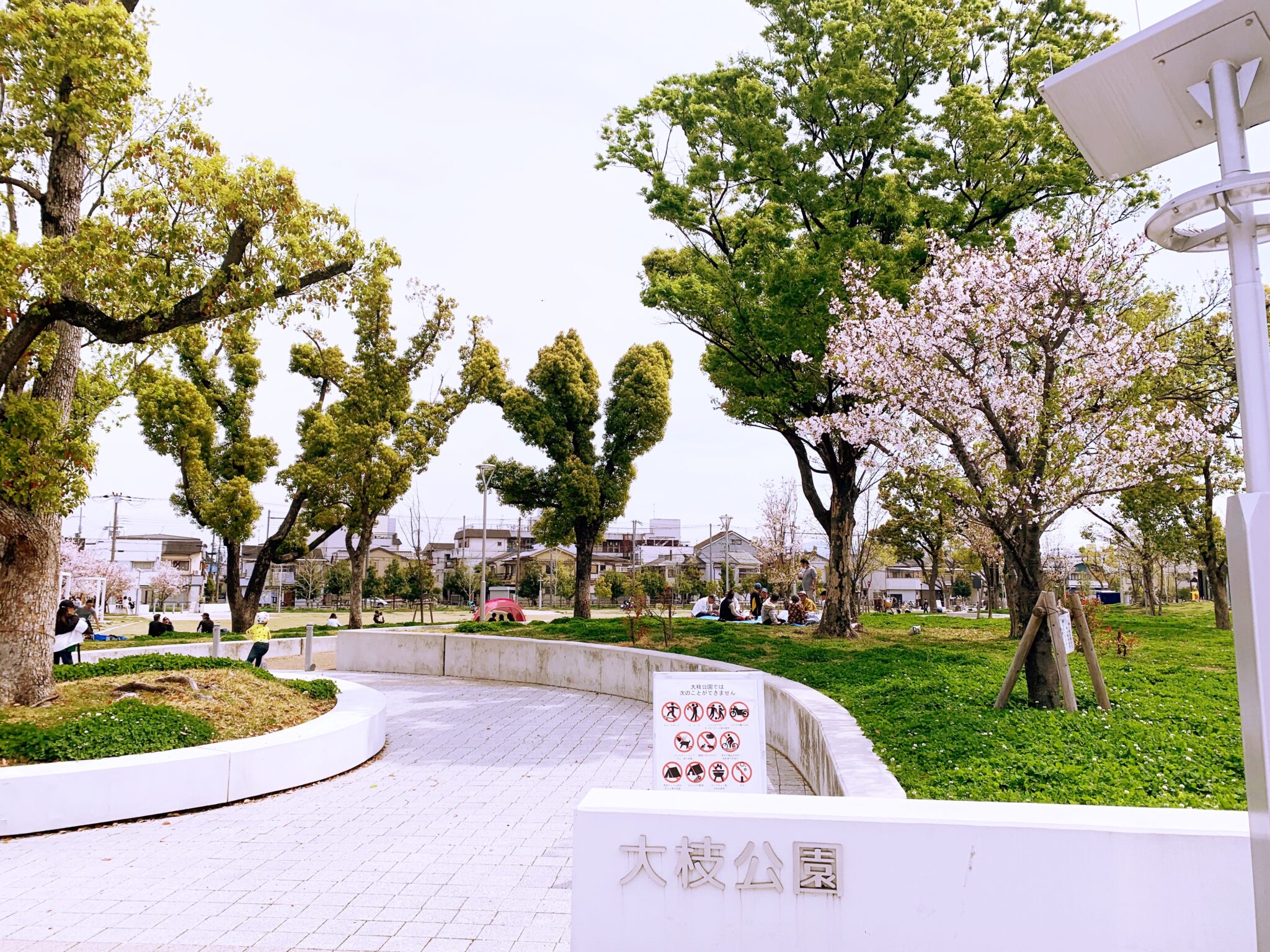 大枝公園 2023年 桜 - 22時の世界